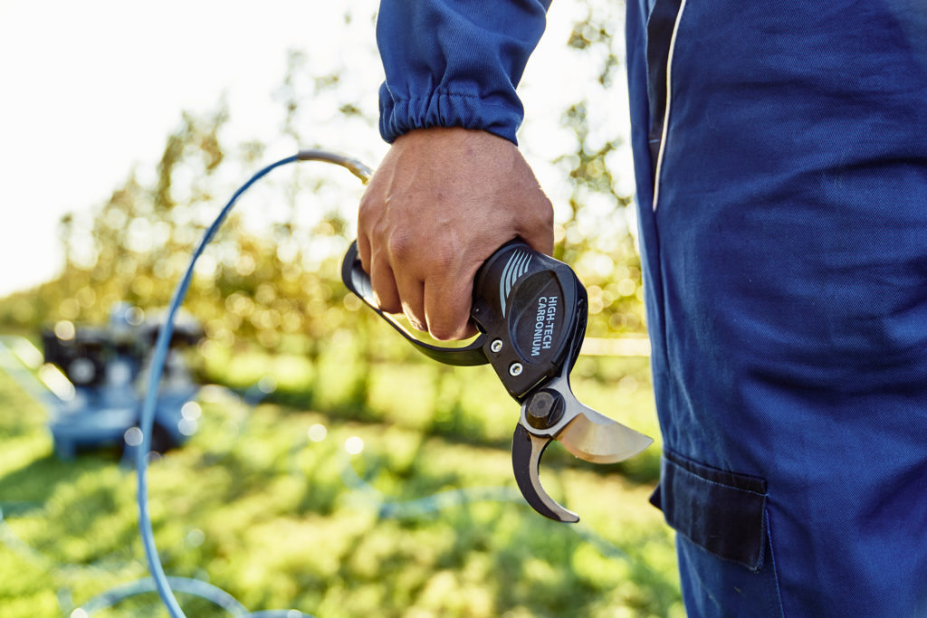 Campagnola Pneumatic Pruner – Victory | Eclipse Enterprises